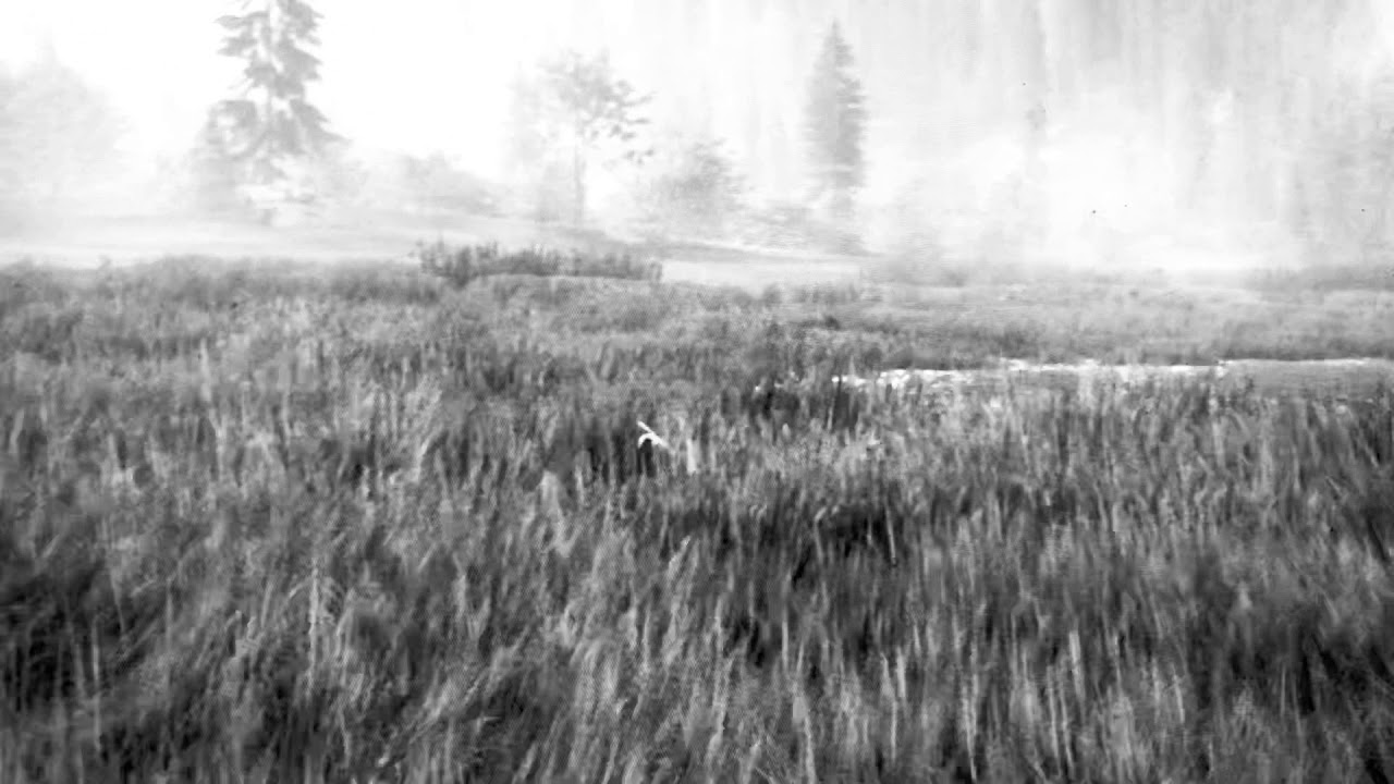 Diamond Fail :( - YouTube