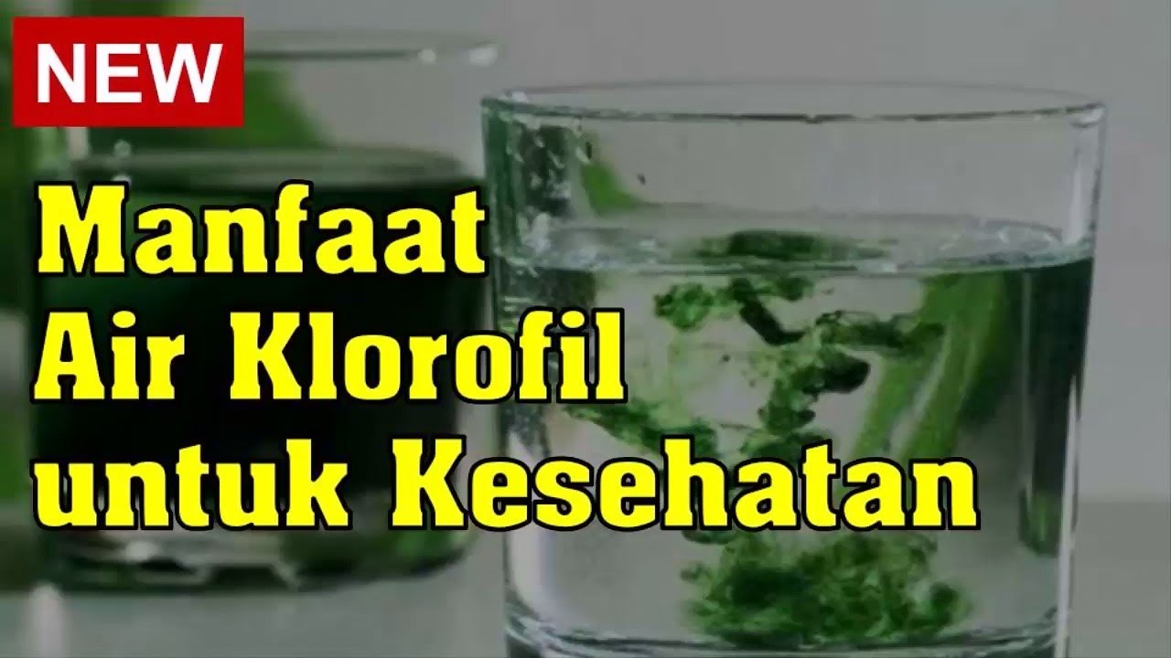 Manfaat Air Klorofil untuk Kesehatan - YouTube