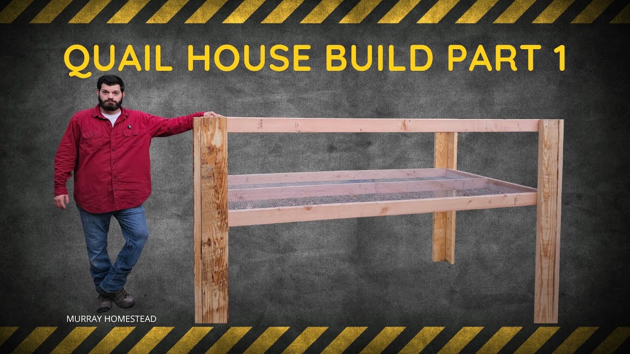 How to Build a Quail House: Part 1 - YouTube