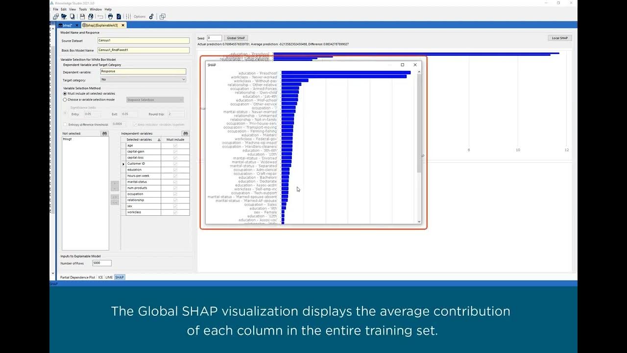 Analyze Shapley Values with Altair® Knowledge Studio® - YouTube