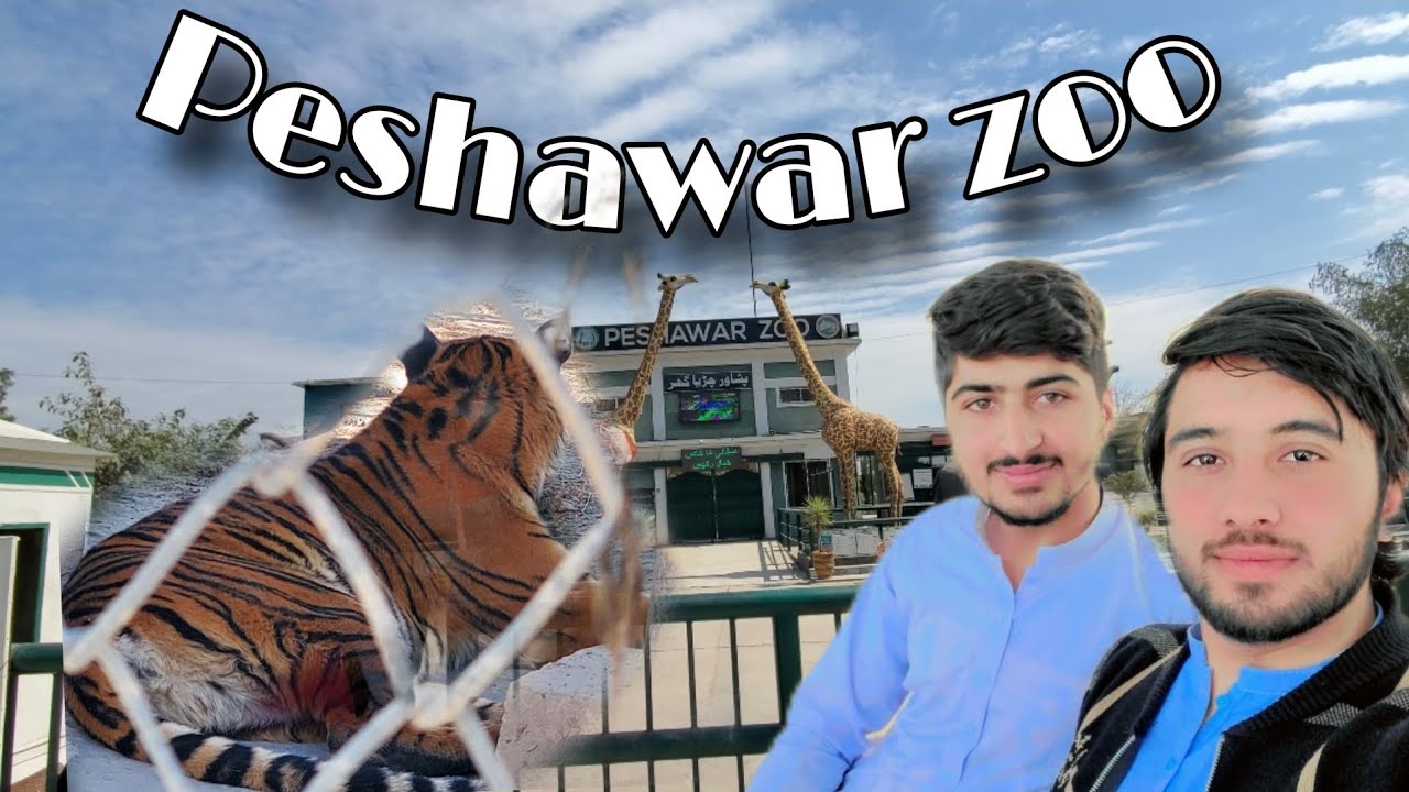 Embarking on a wild adventure at Peshawar Zoo! 🦁🐯🐒 #ExploreNature ...