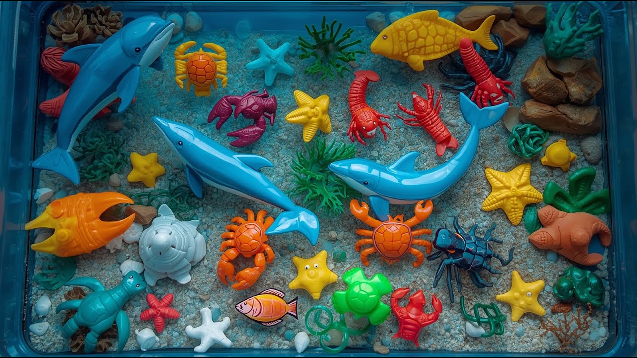 The Ocean Explorer’s Encyclopedia: 100 Amazing Sea Animals - YouTube