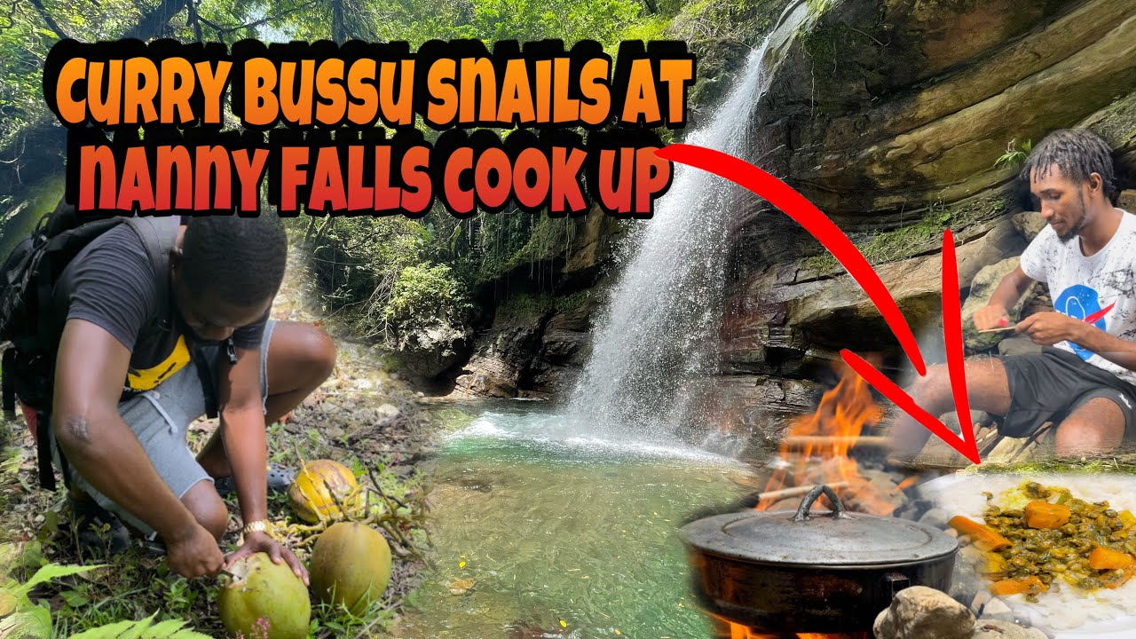 EPIC‼️Curry Jamaican Bussu cook up at nanny falls 🫠 Portland (tasty ...