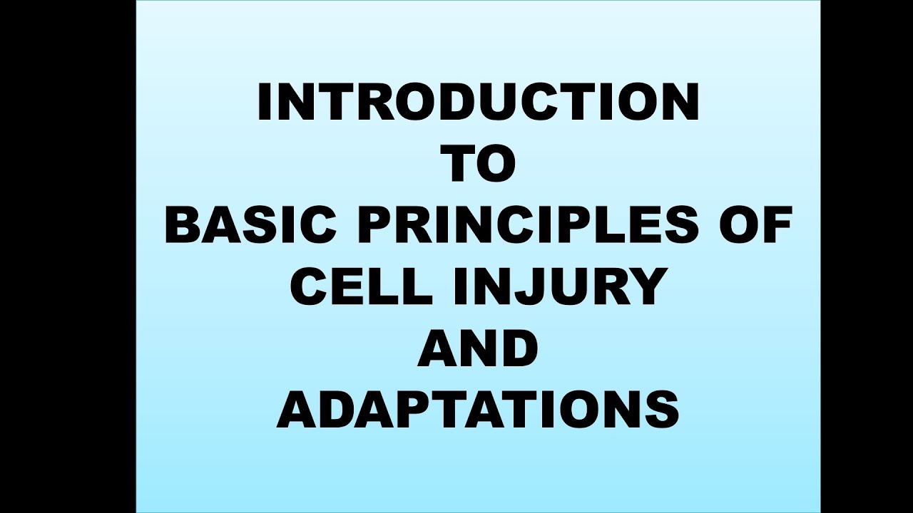 Introduction to basic principles of Cell Injury and Adaptions |pathophysiology| - YouTube