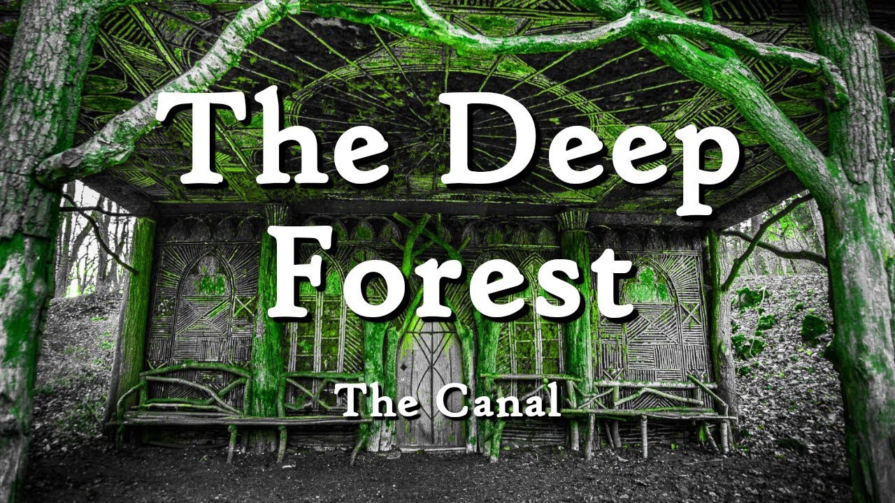 The Deep Forest - The Canal - YouTube