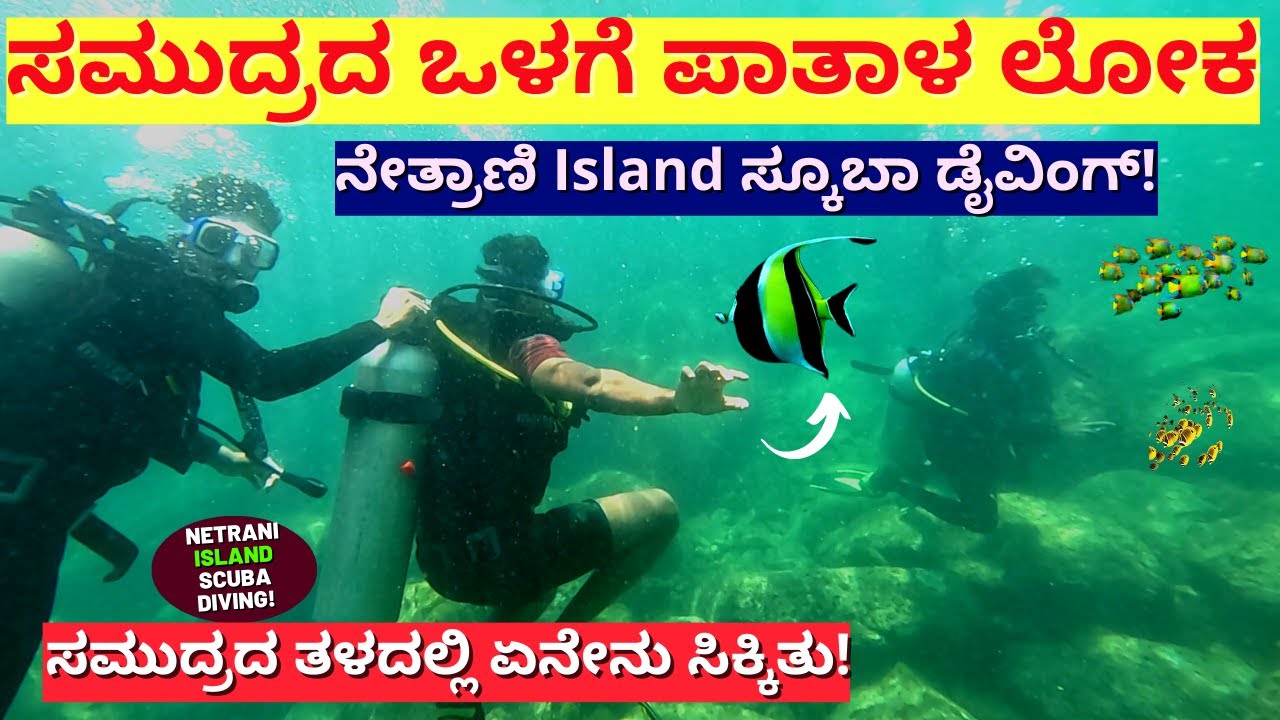 "ಸ್ಕೂಬಾ ಡೈವಿಂಗ್ ನಲ್ಲಿ ಸಮುದ್ರದ ತಳದಲ್ಲಿ ಸಿಕ್ಕ ಮೀನುಗಳು!-Netrani Island ...