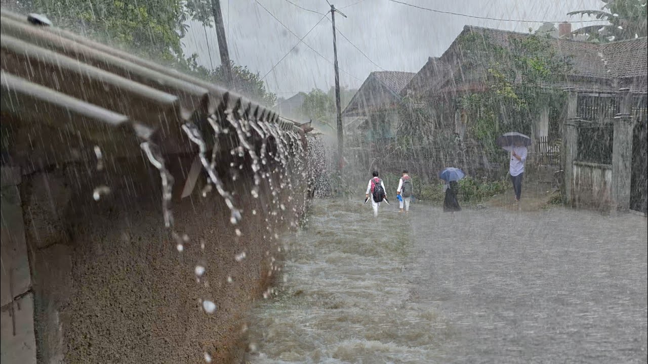 Heavy Rain in My Village | very cold, perfect for insomnia, walking in ...
