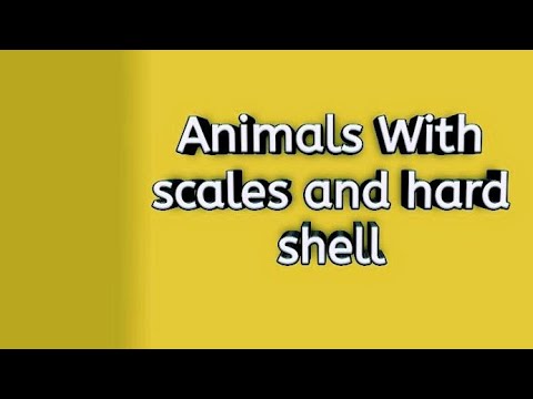 Science Class 2 (Animals with scales and hard shell) - YouTube