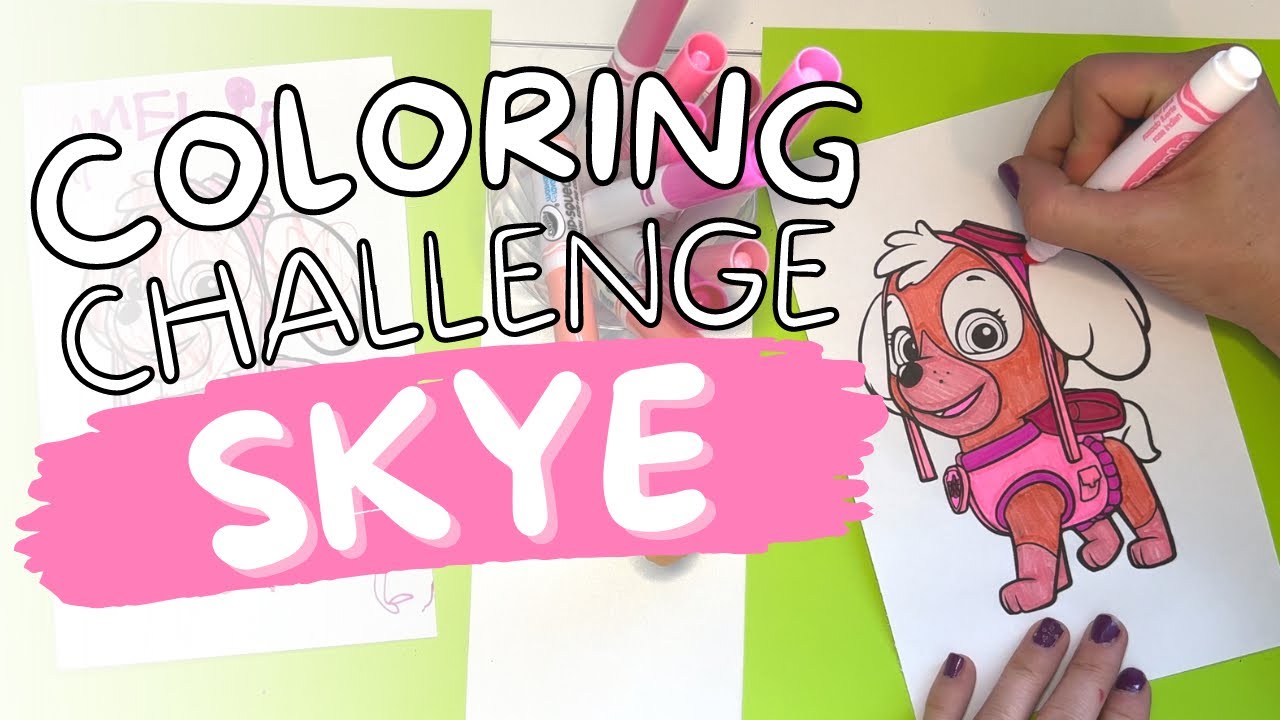 Toddler Coloring Challenge | Paw Patrol Skye | Fun Color-Along Activity ...