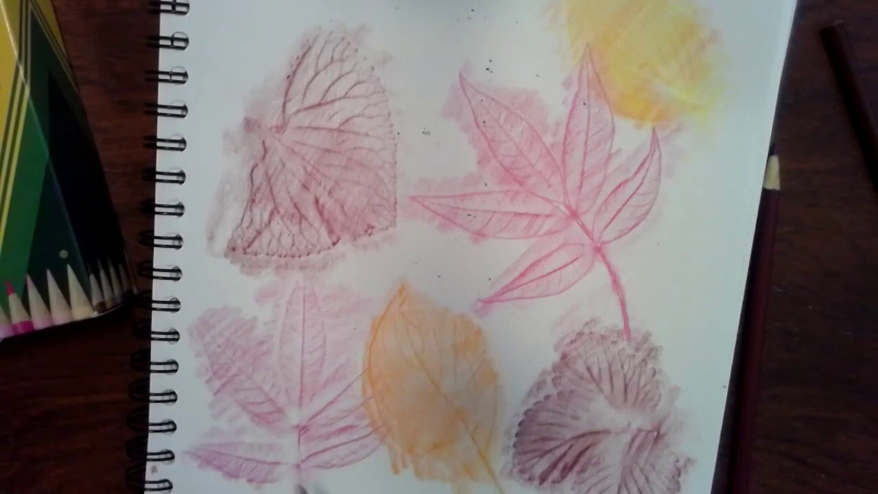 Tracing Leaves Part 2 - YouTube
