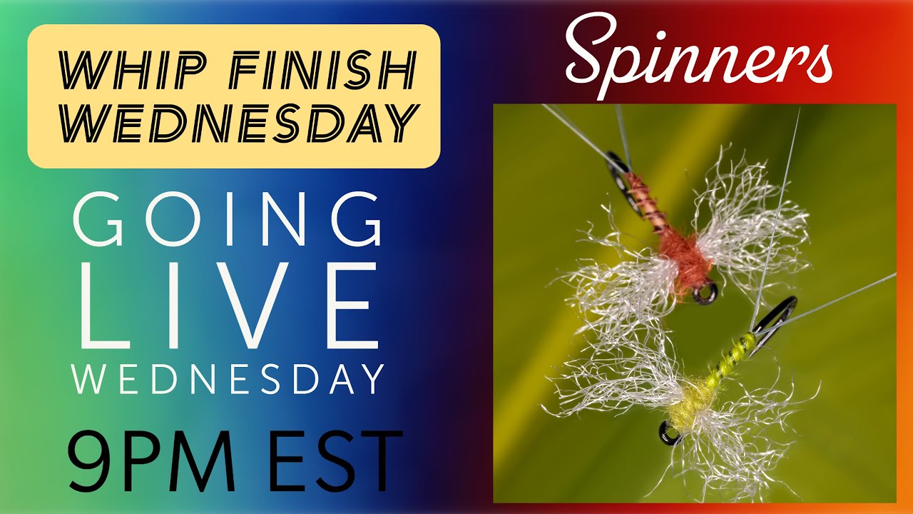 How To Fly Tying: Tying Spinners--Live on Whip Finish Wednesday - YouTube