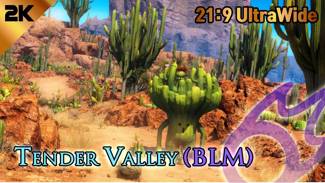 [파이널 판타지14] - 사보텐더 계곡🏜️(흑마도사 시점) | Tender Valley(BLM) - YouTube