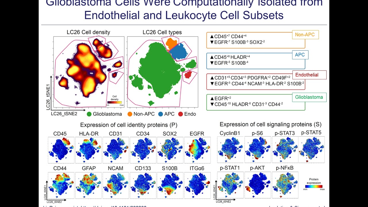 Single-Cell Phosphoprotein Analysis with CyTOF - YouTube