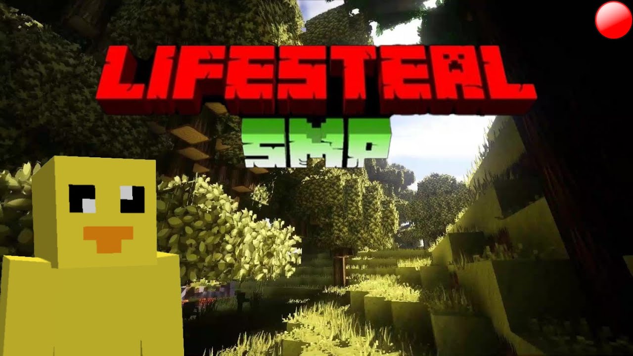 🔴Minecraft Lifesteal Stream! - YouTube