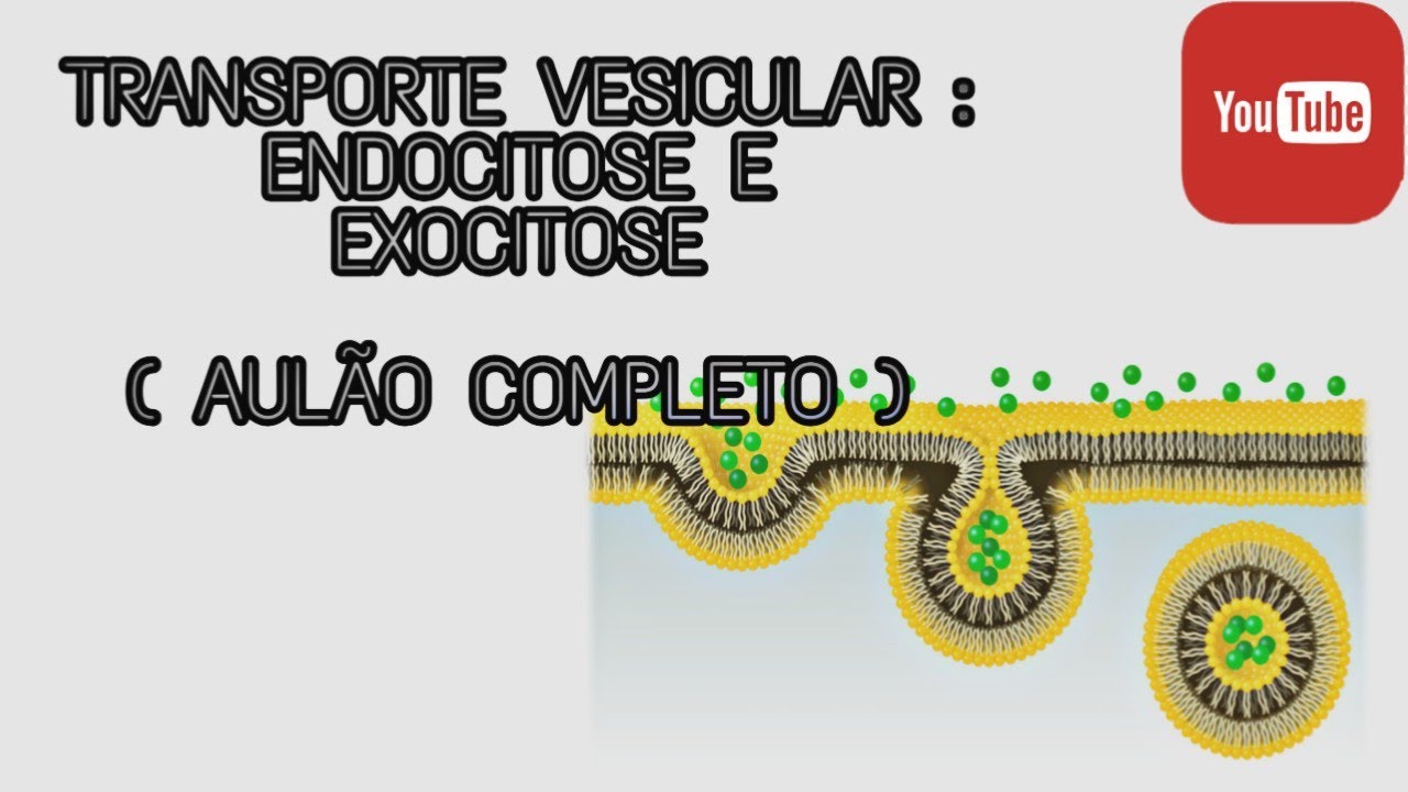 TRANSPORTE VESICULAR - Aulão COMPLETO!! - YouTube