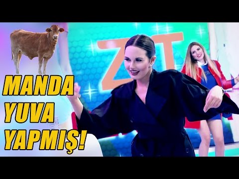 Tuğçe ve Bahar'dan OLAY Performans | Manda Yuva Yapmış