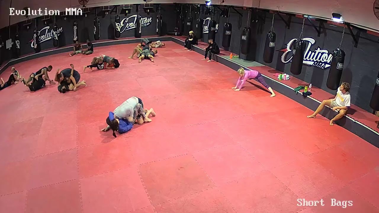 Evolution MMA and Fitness South Africa Live Stream - YouTube