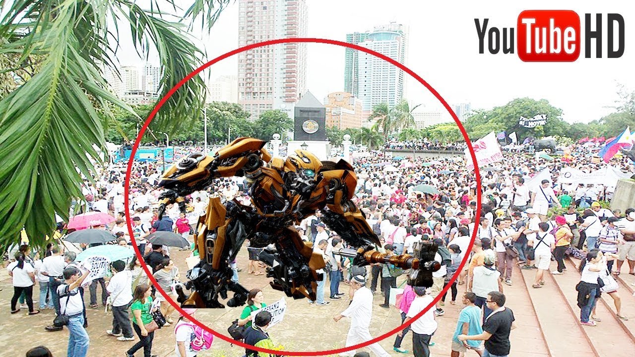 5 TIMES REAL BUMBLEBEE CAUGHT ON CAMERA & SPOTTED IN REAL LIFE !! - YouTube