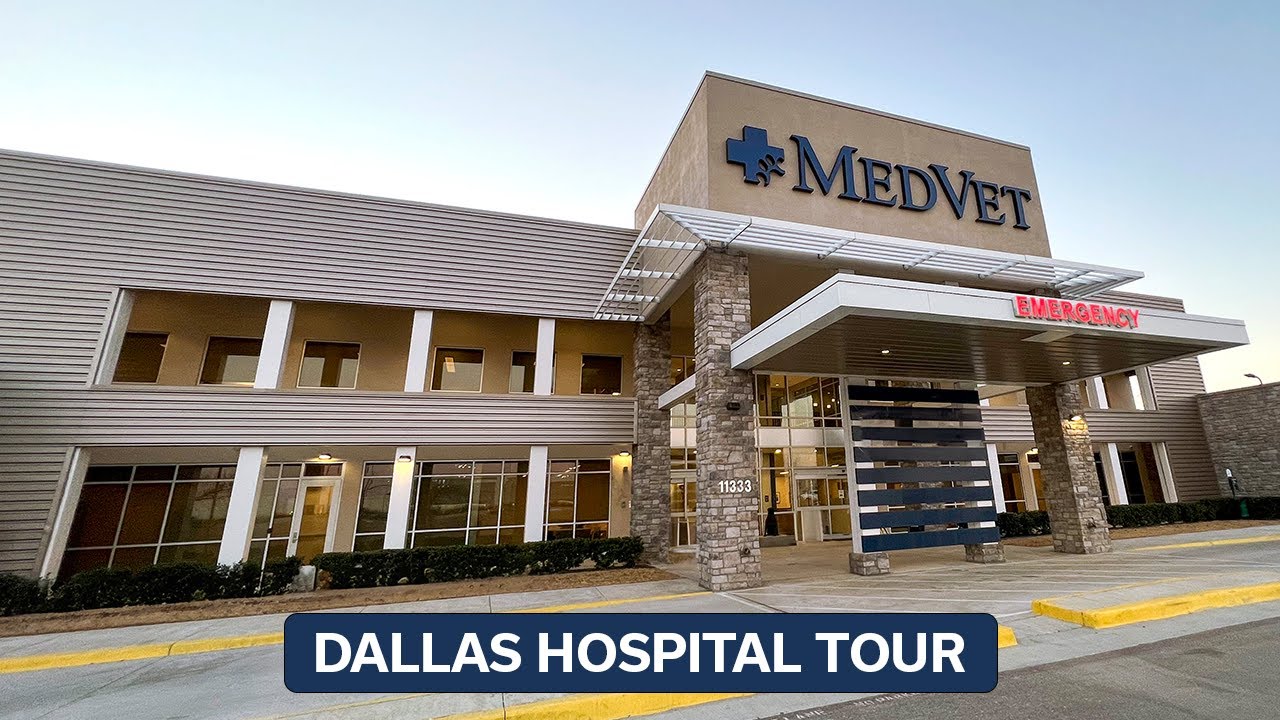 Inside MedVet Dallas: 24/7 Emergency & Specialty Veterinary Hospital - YouTube