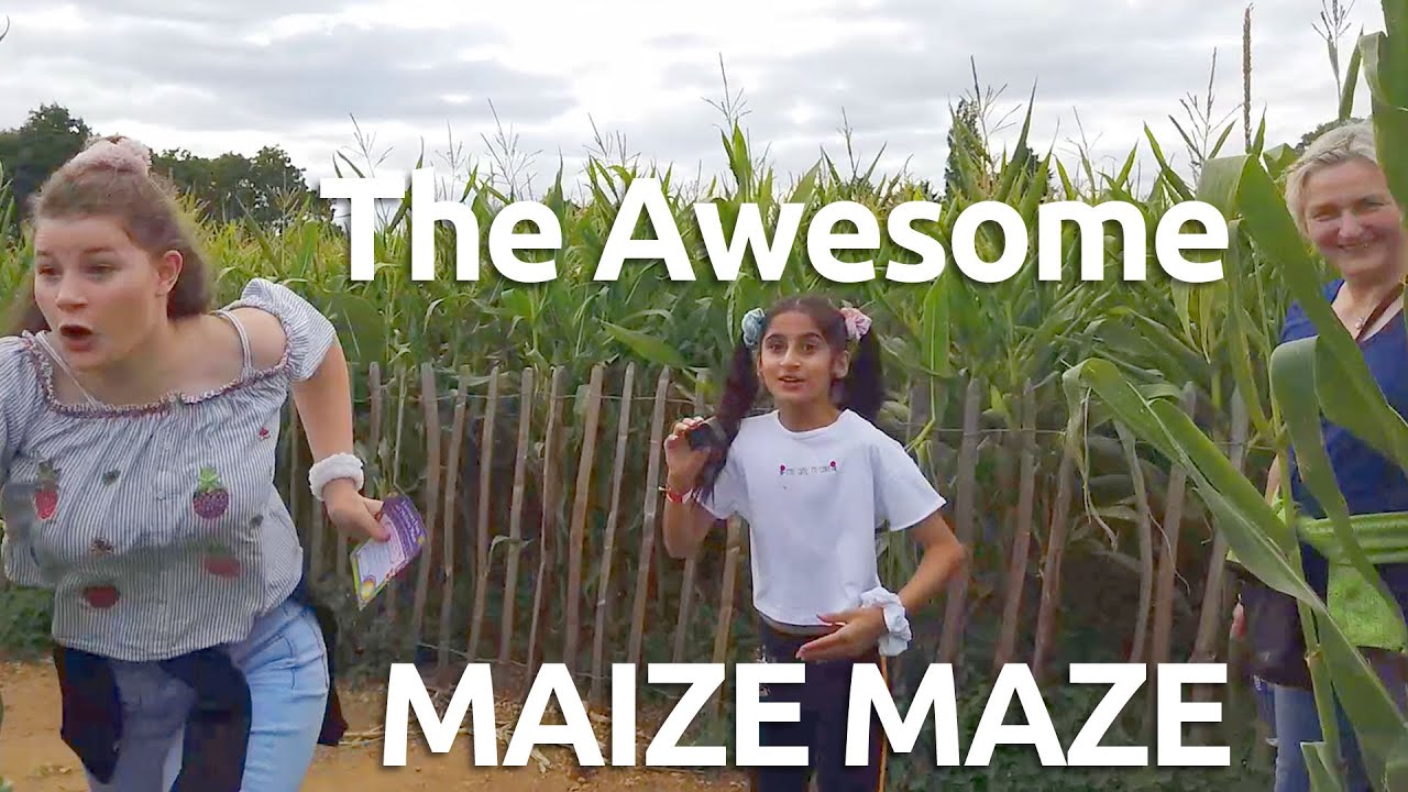 The Awesome Maize Maze At Millets Farm In Abingdon. - YouTube