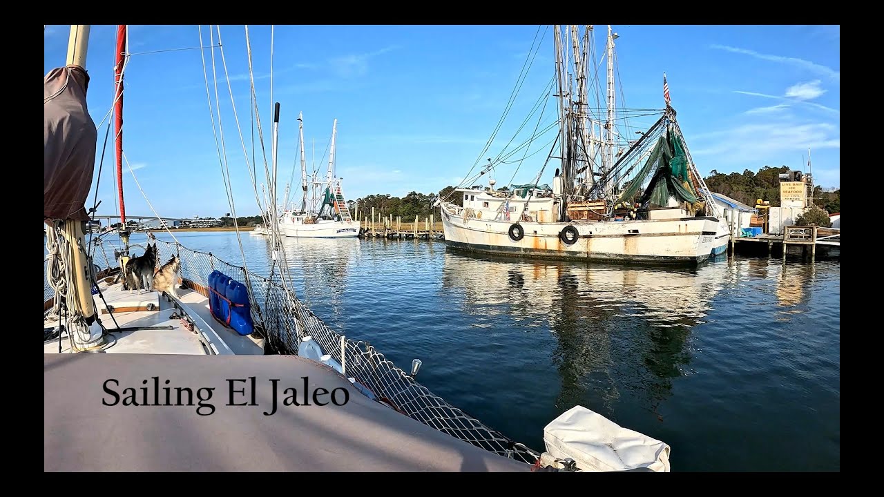 S04E50 - A Journey of Endless Segues - YouTube