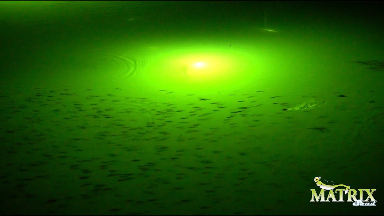 DockSide TV "Under the MoonLight" - YouTube