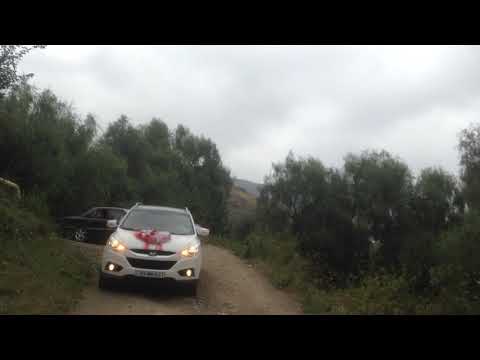 Tovuz Catax Toy Karvani