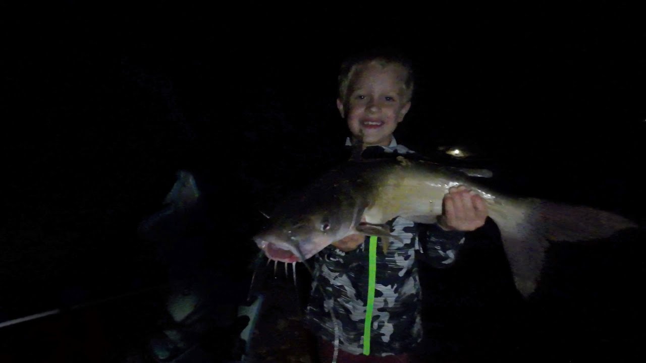 Mr Whiskers! Night Catfishing at Lake - YouTube