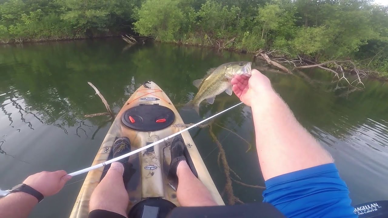 Kayak Fishing With a Whopper Plopper (Surprise Catch) - YouTube