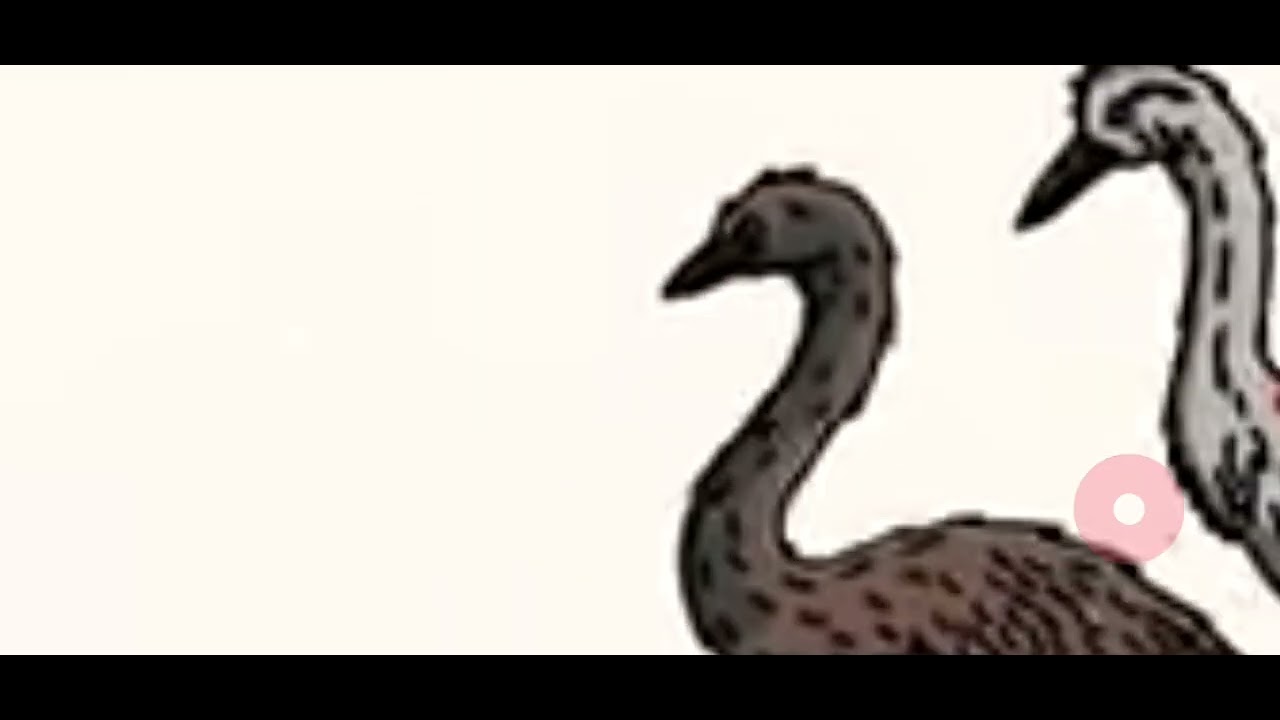 Extinct Bird Size Comparison - YouTube