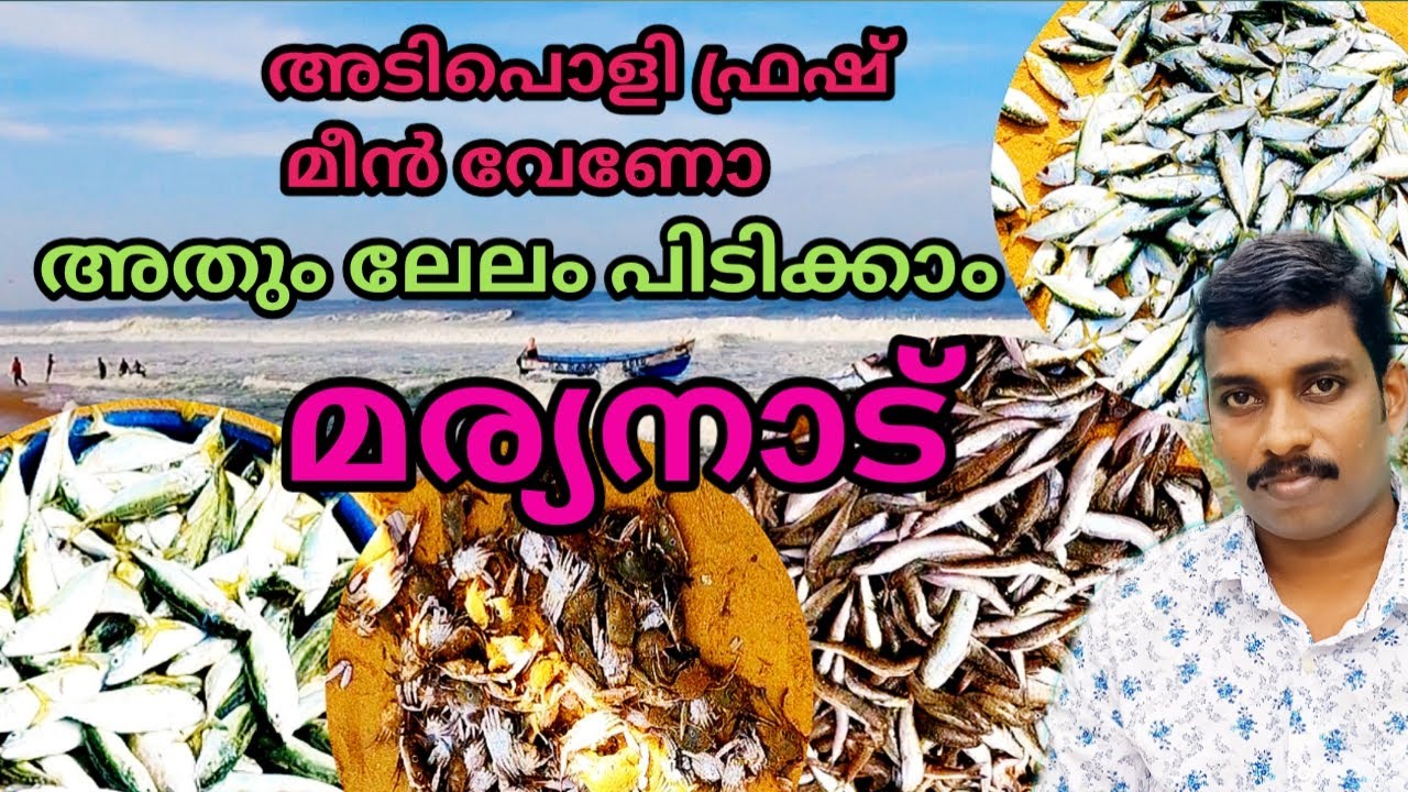 അടിപൊളി ഫ്രഷ് മീൻ|| മര്യനാട് || fresh fish || kadal meen - YouTube
