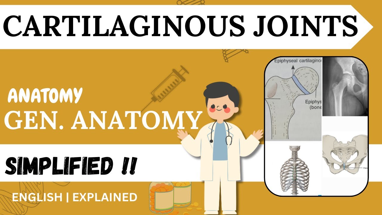 Mbbs Cartilaginous Joint General Anatomy Simplified English BDC Anatomy ...