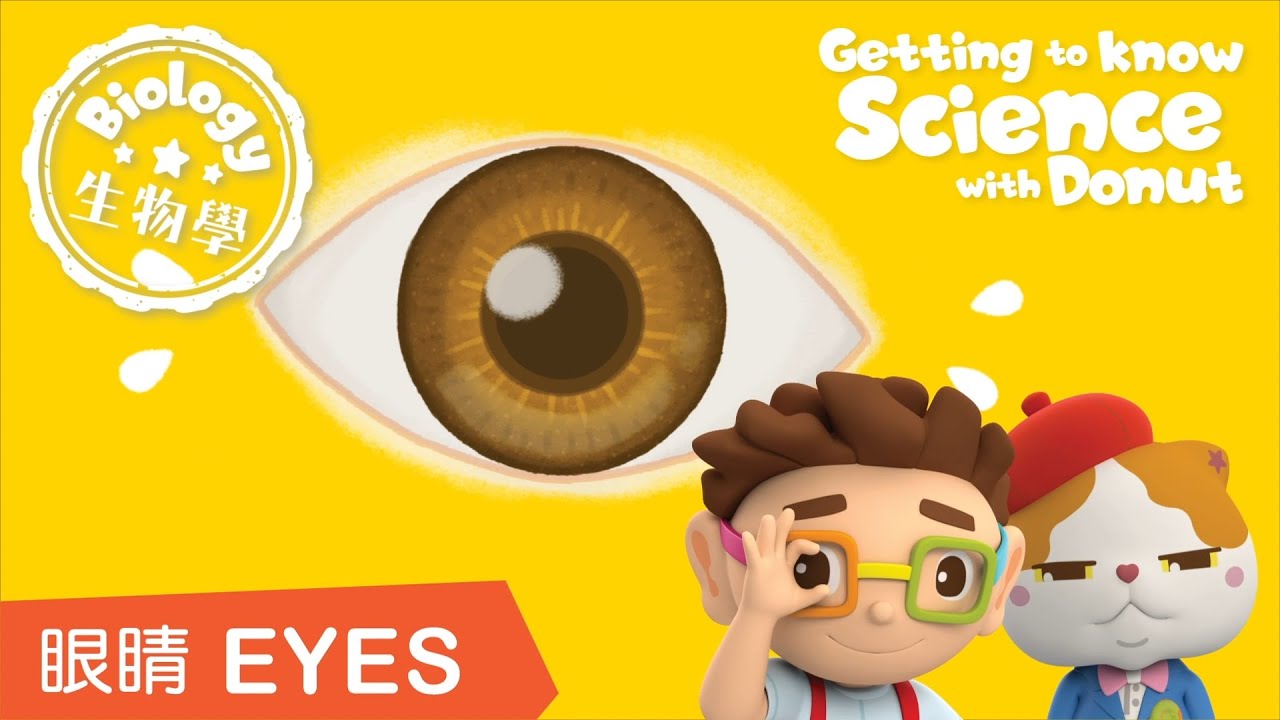 【Getting to Know Science with Donut】—「生物學」之 眼睛 - YouTube