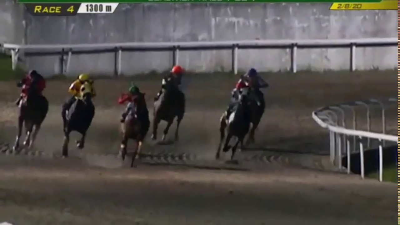 SUNDAY SURPRISE - PRCI RACE 4 BAYANG KARERISTA HORSE RACING AT SANTA ...