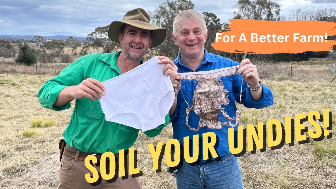 Unveiling the Secret to a Better Farm: Soil Your Undies! - YouTube