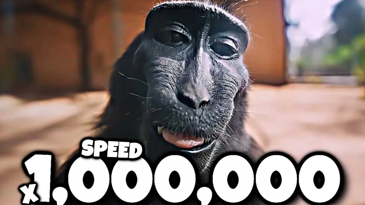 4K MONKEY SPEED 1000000X - YouTube