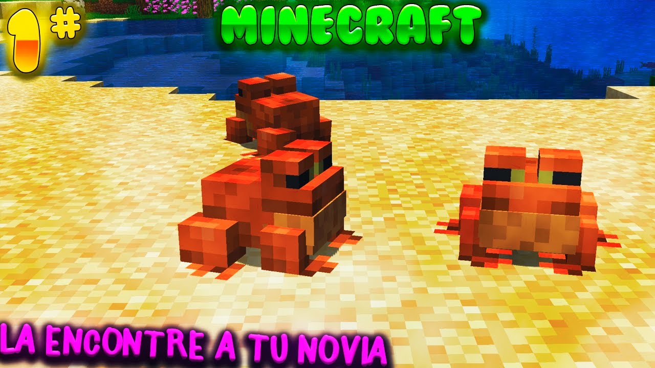 1#SERIE de MINECRAFT CON LOS PIBES esta EL SAPO de TU WAC - YouTube