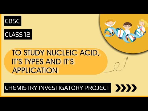 || Chemistry Investigatory Project on Nucleic Acid, Its Types and Its ...