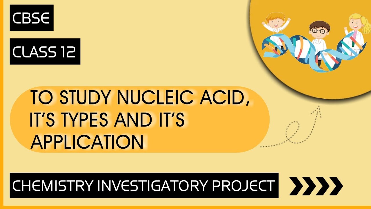 || Chemistry Investigatory Project on Nucleic Acid, Its Types and Its ...