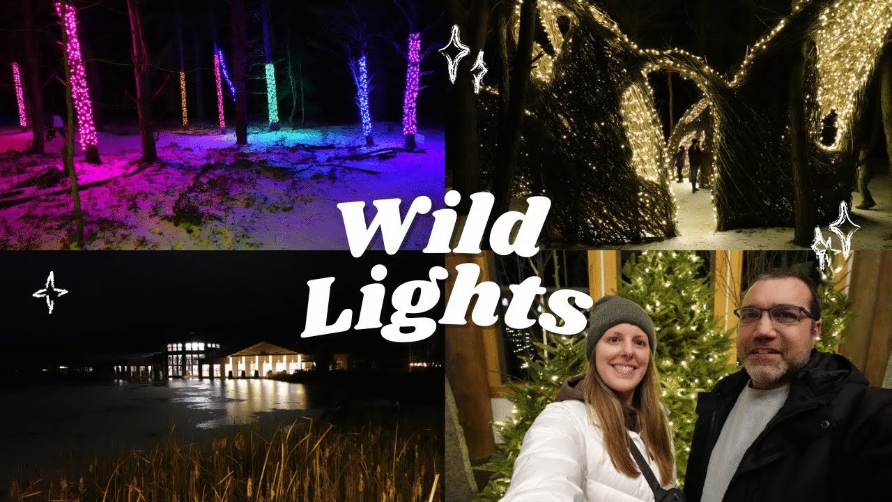 Wild Lights at the Wild Center, Tupper Lake NY - YouTube