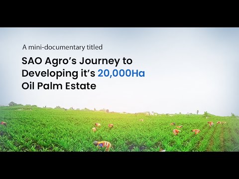 Transforming Nigeria's Agriculture: SAO Agro's Massive 10,000 Ha Oil ...