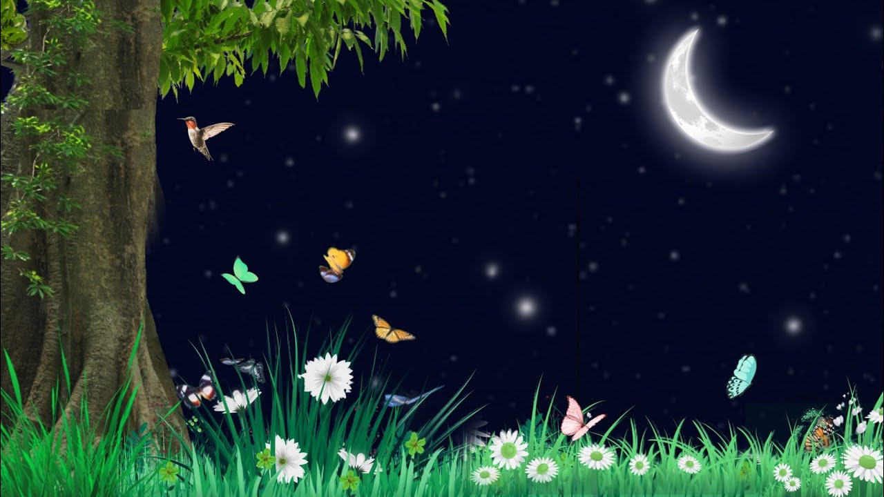 grass flower black screen video | butterfly effect black screen ...
