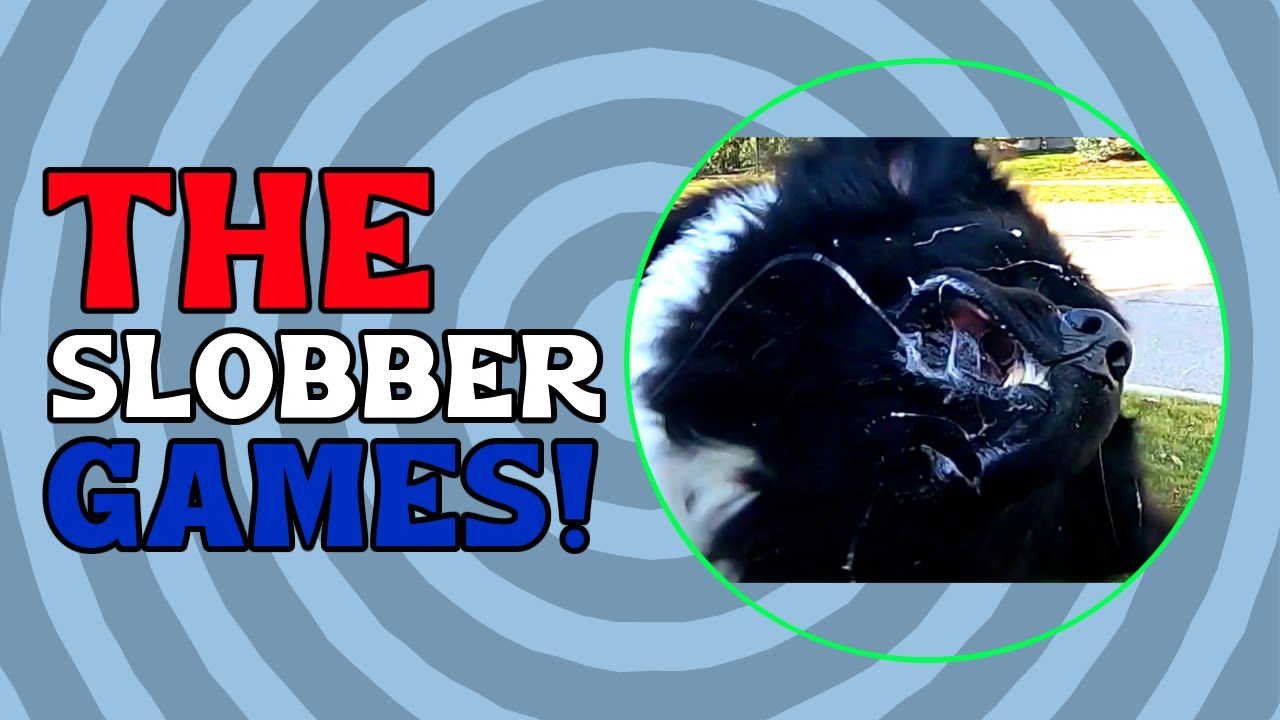 Dog Slobber! In High Definition! - YouTube