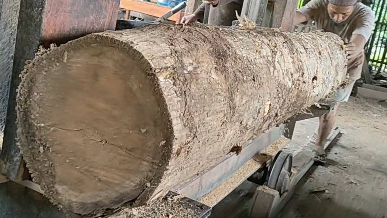 Cutting teak trees into planks - YouTube