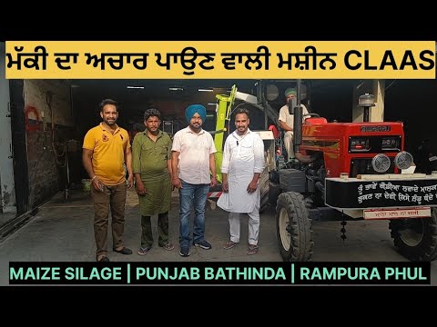 MAIZE SILAGE | PUNJAB BATHINDA | RAMPURA PHUL makki da achar claas ...