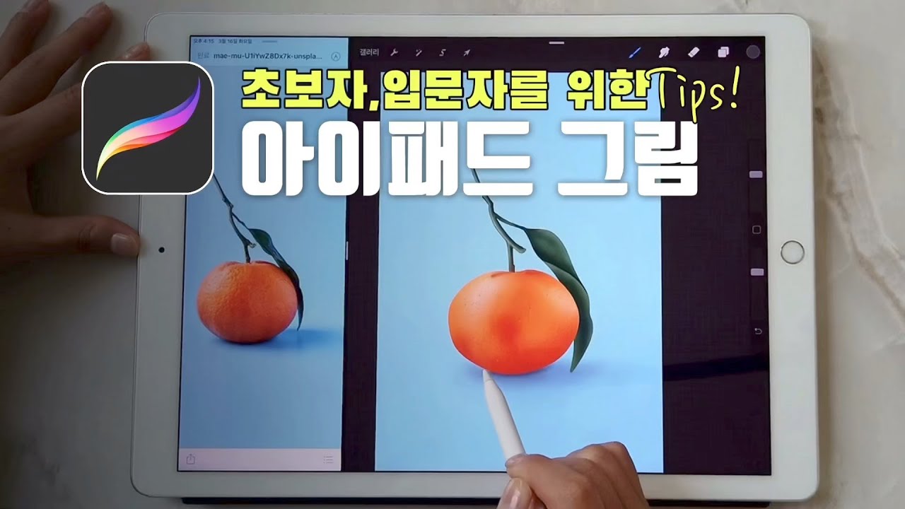 따라만 그려도 아이패드 그림을 바로 시작할 수 있는 프로크리에이트 기초 강좌 How To Use Procreate For Beginners Youtube