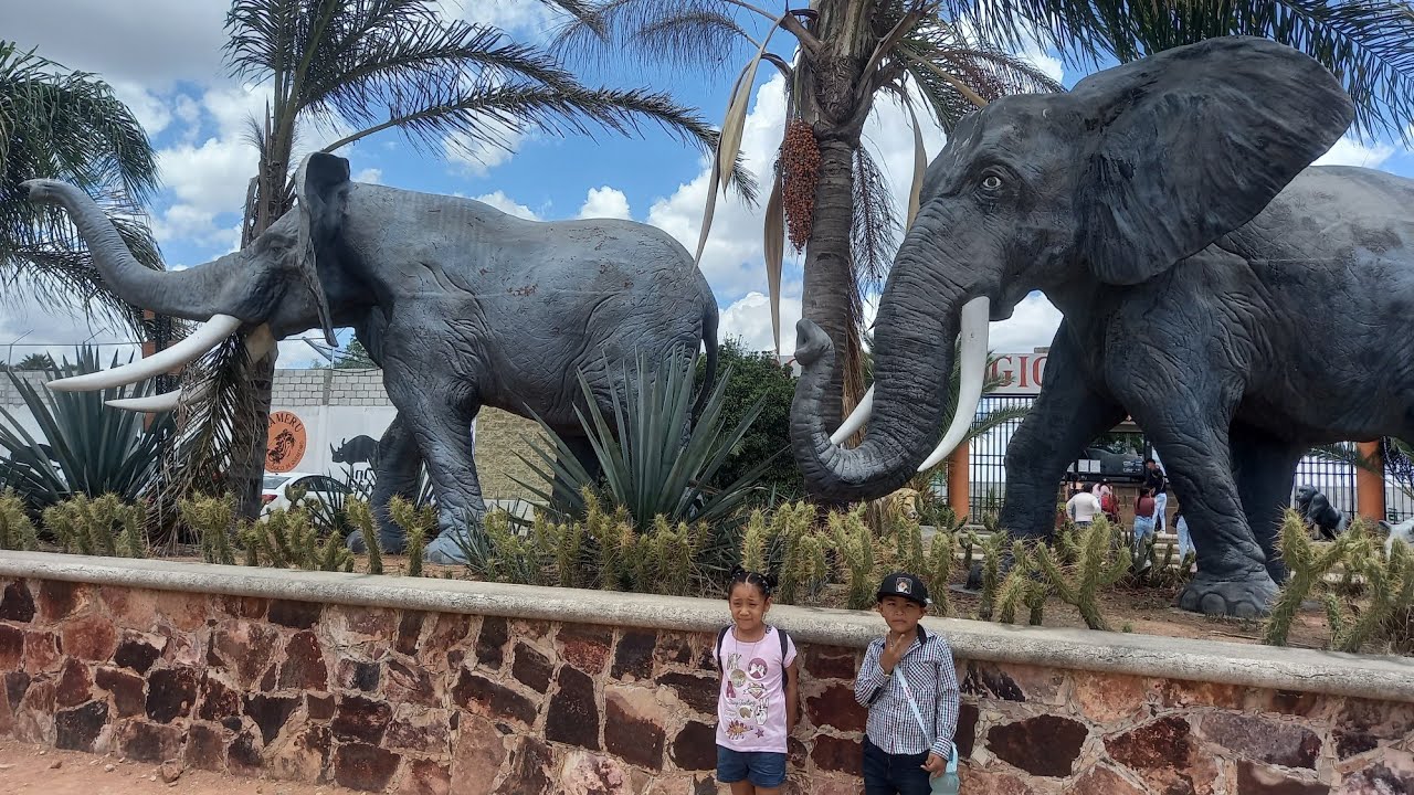 Visitando el zoologico de wameru en queretaro 1era parte - YouTube