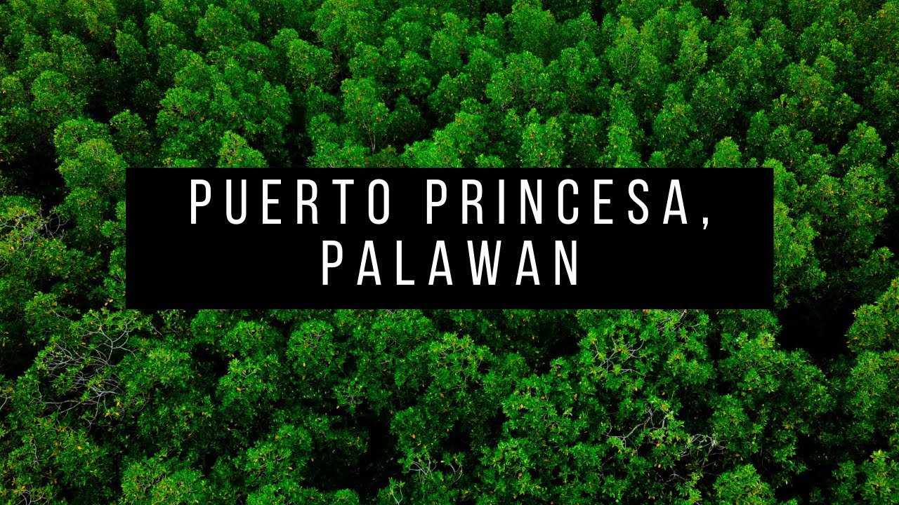 26 - TRAVELS - Drone Shots of Tagburos, Puerto Princesa, Palawan - YouTube