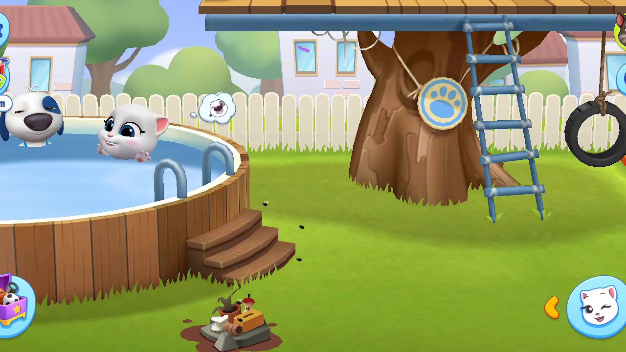 taking tom video(1) - YouTube