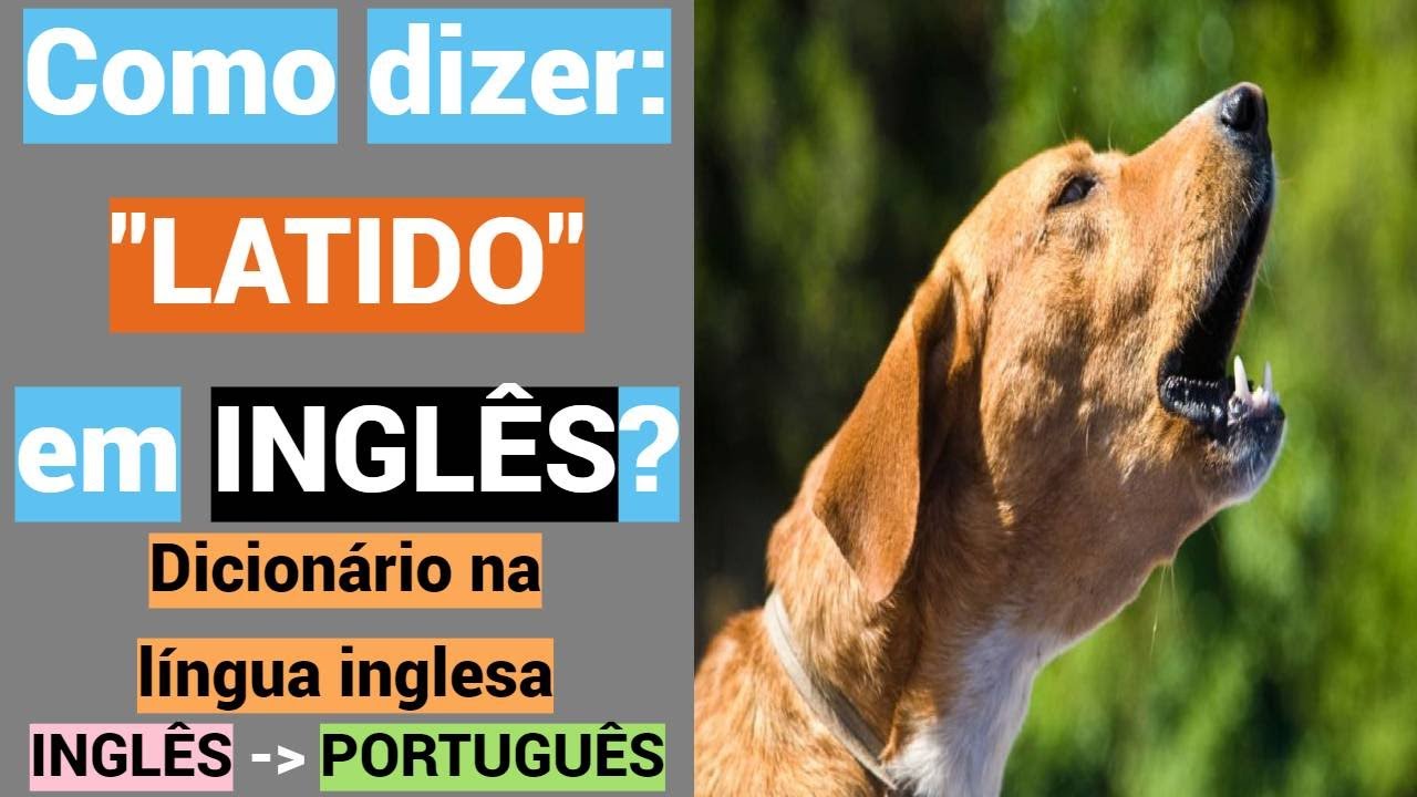 Como dizer: "LATIDO" em INGLÊS? | Educação | Dicionário na língua ...